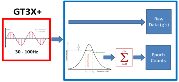 ActiGraph Data Conversion Process